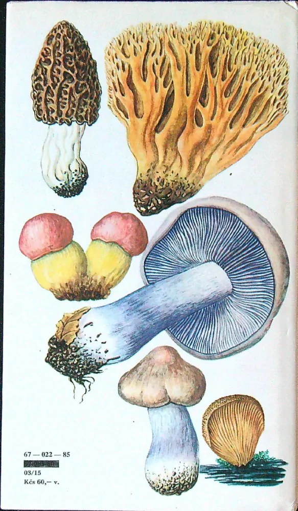 A. Dermek, P. Lizoň - Malý atlas húb